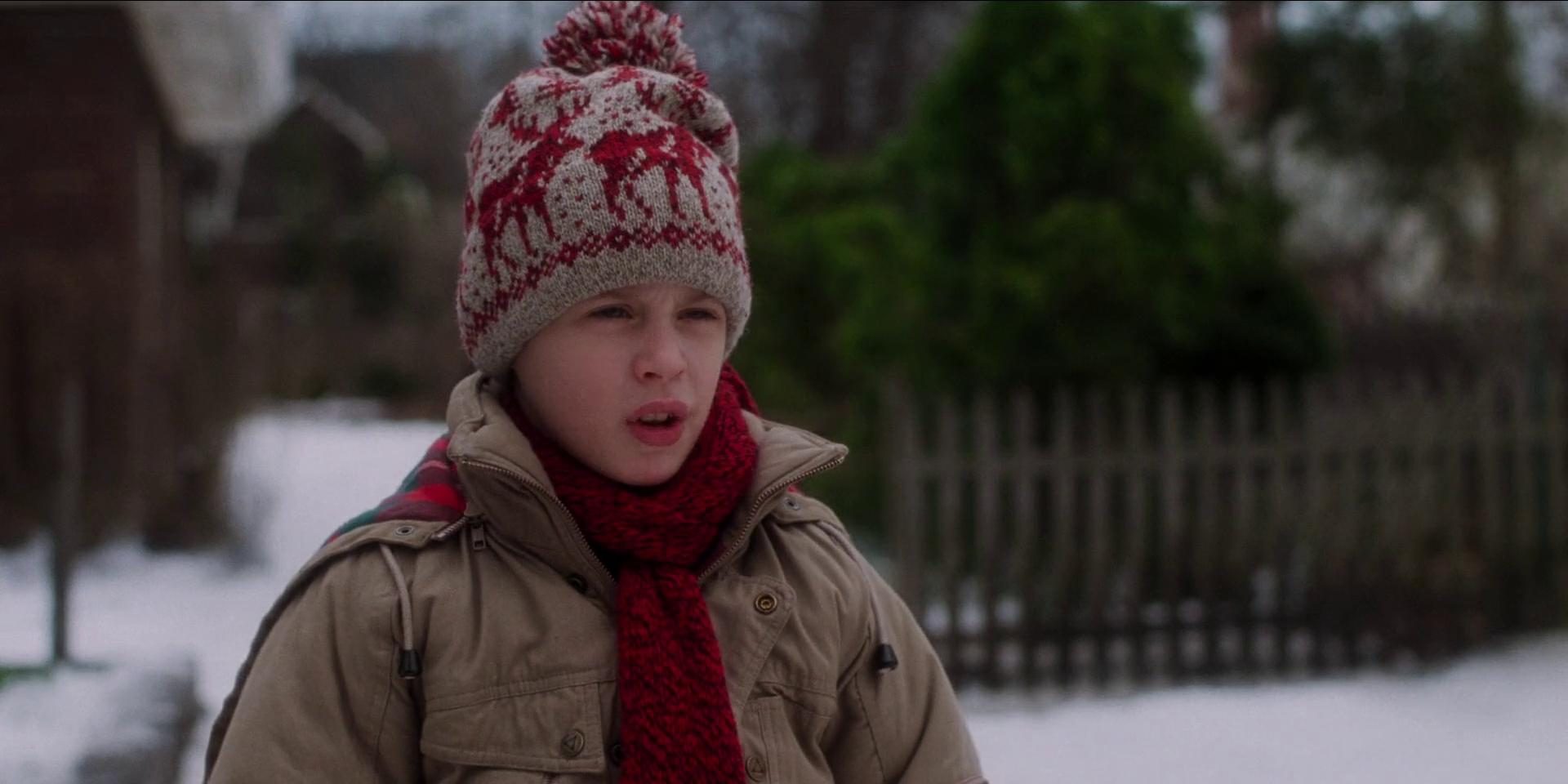 10 Movies Like Home Alone on Netflix (2026)