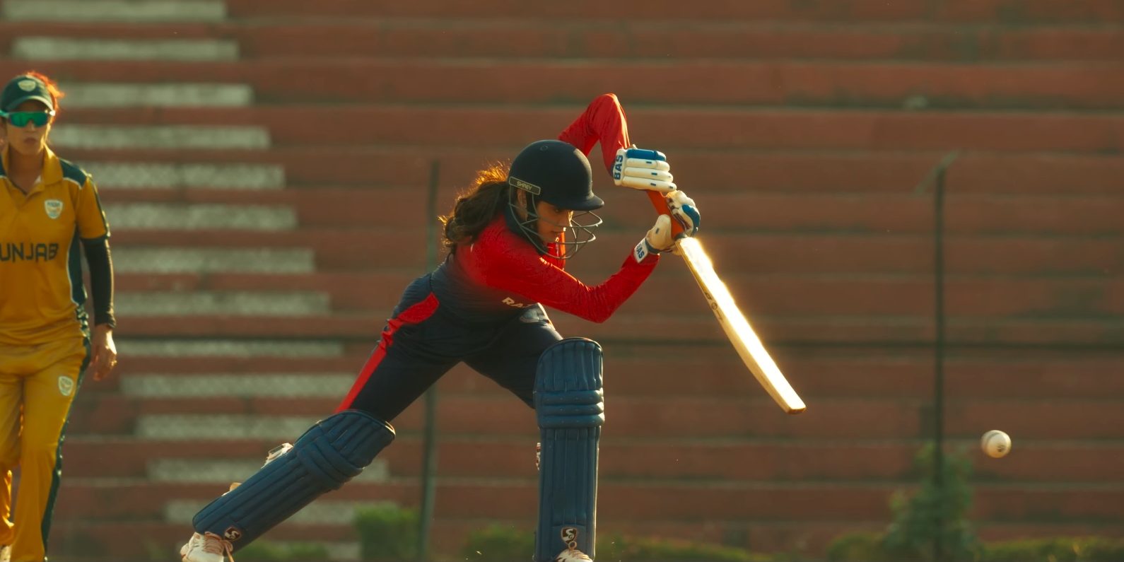 10 Best Cricket Movies and Shows on Netflix Right Now